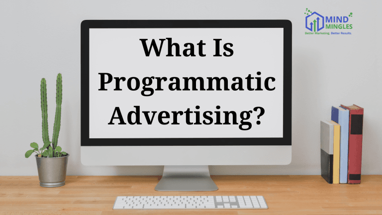Programmatic Advertising: A Comprehensive Guide to Programmatic Ads ...